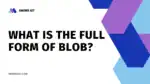 What Is The Full Form Of BLOB?