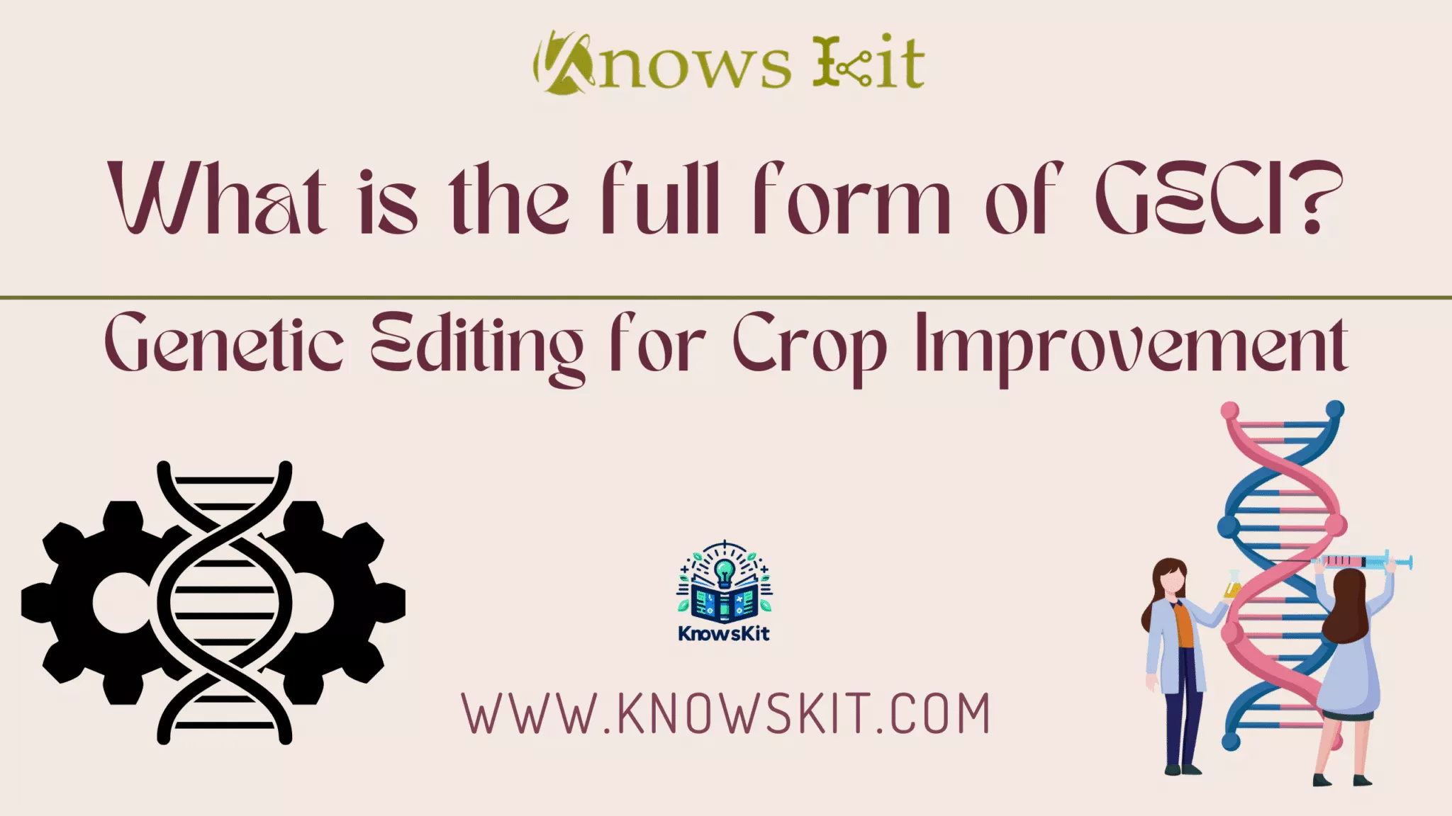 What Is The Full Form Of SUDP