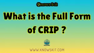 What Is The Full Form Of KPM?
